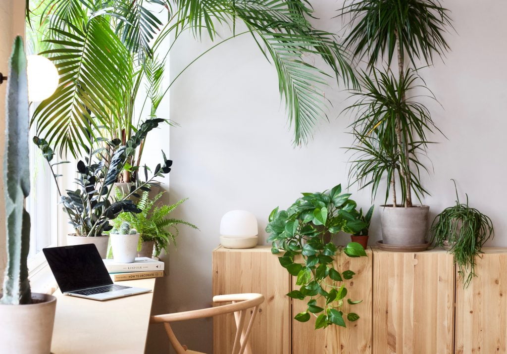 Amazon Rainforest Inspired Decor: Bring It To You | Topology Interiors