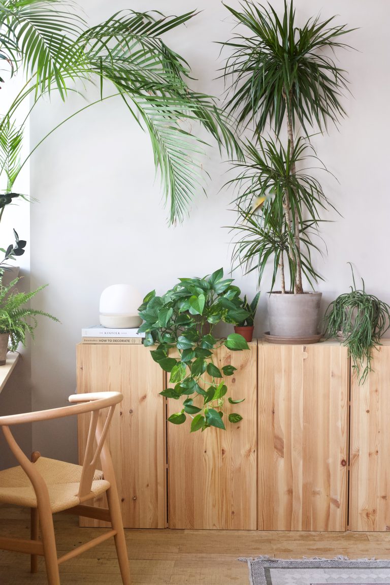 Amazon Rainforest Inspired Decor: Bring It To You | Topology Interiors