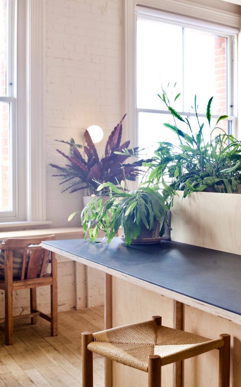 Amazon Rainforest Inspired Decor: Bring It To You | Topology Interiors